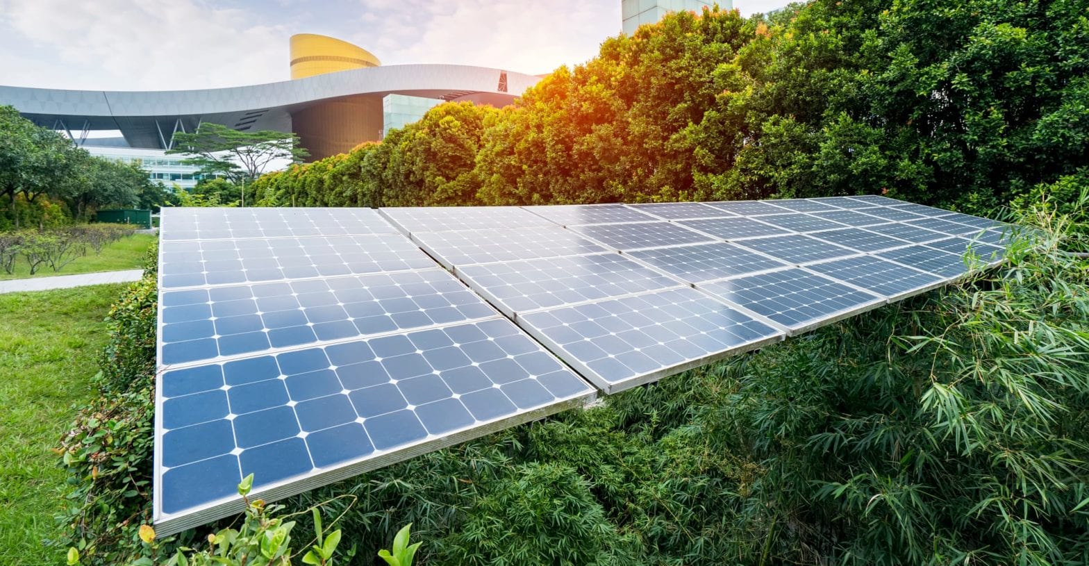 The environmental benefits of solar panels - Freedom Forever