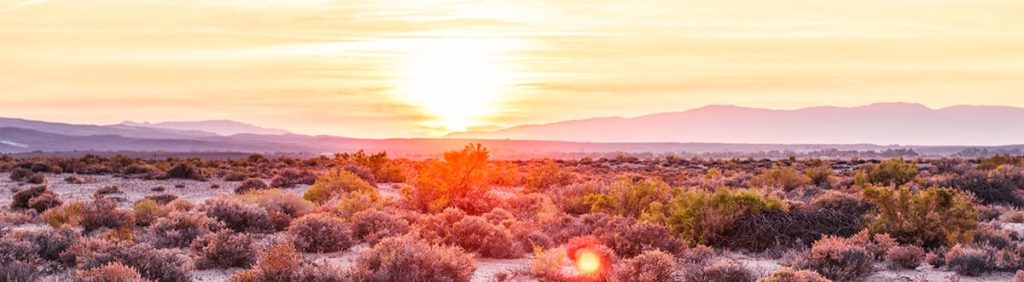 Solar in Nevada: Opportunities and risks to know - Freedom Forever